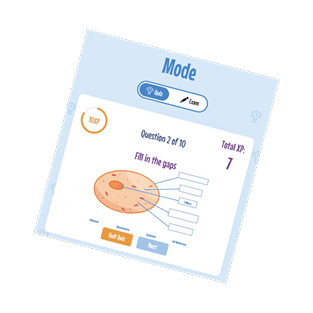 Live Classes | Flash Revision Lab